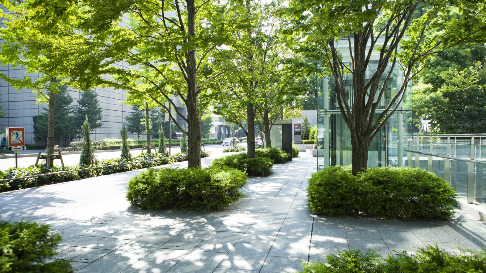 Bäume und Vegetation - ENVI-met